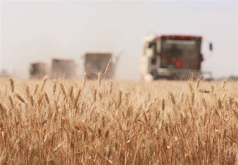 从半年报解读中国经济“韧性密码”