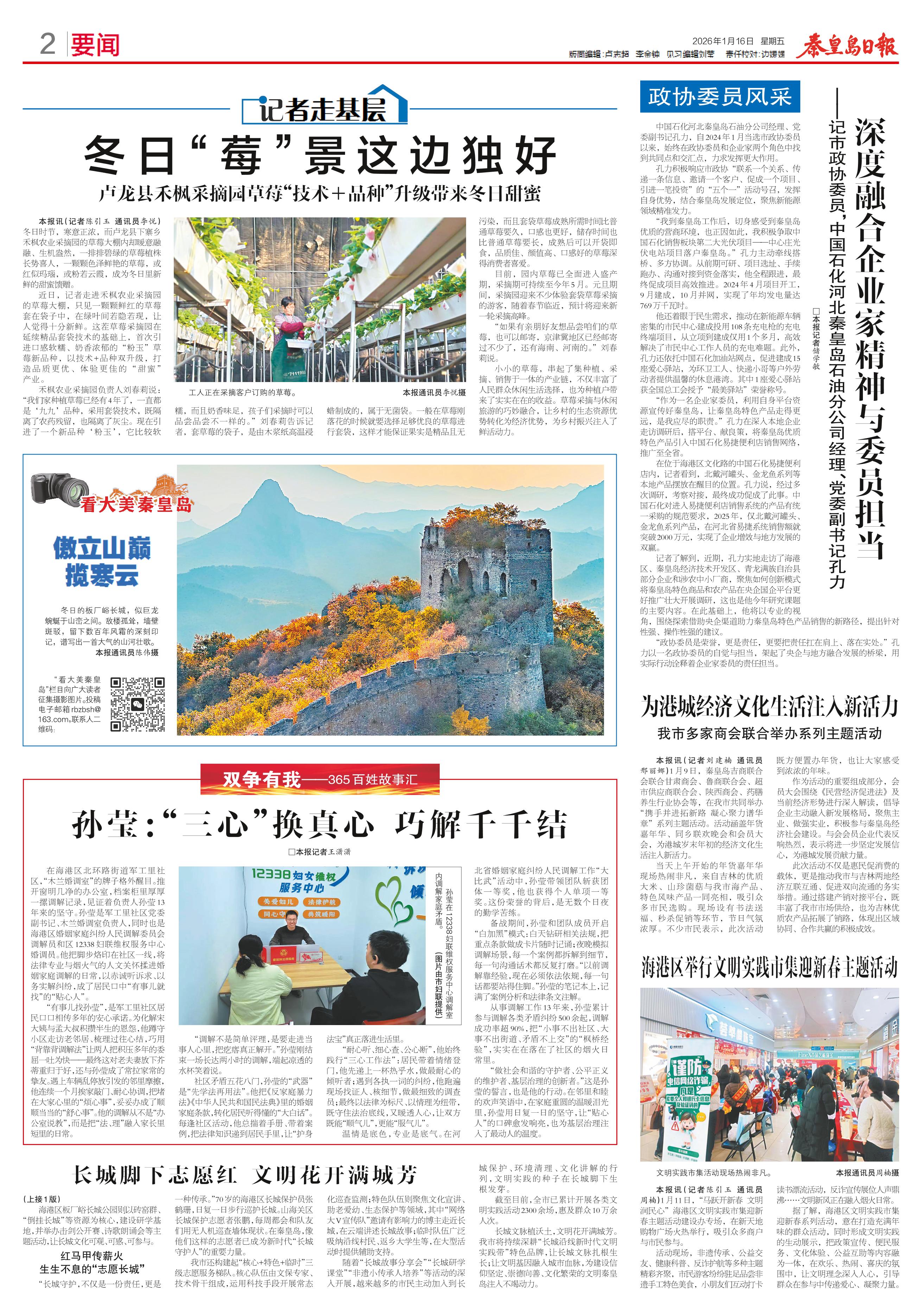 傲立山巅揽寒云